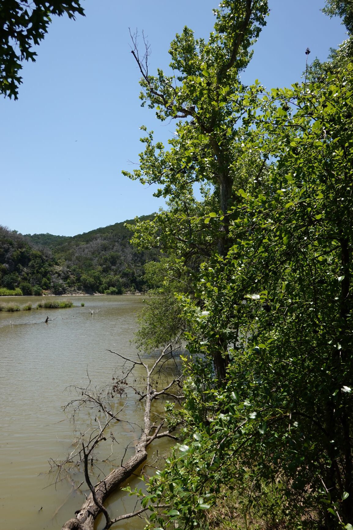 Colorado Bend State Park - Charlotte's Texas Hill Country