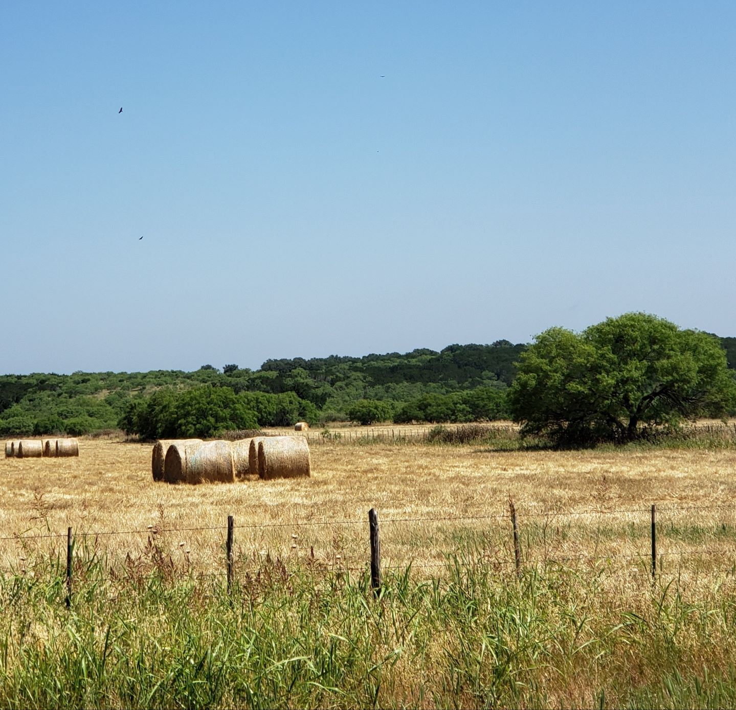 Colorado Bend State Park - Charlotte's Texas Hill Country