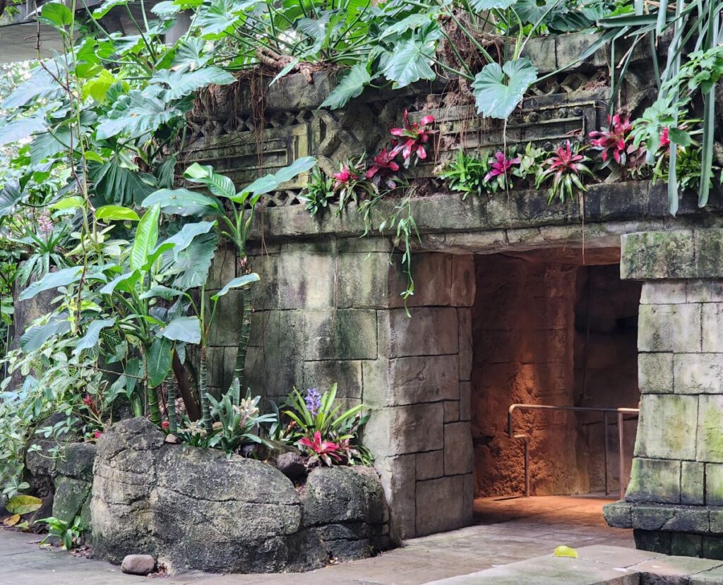 Moody Gardens Rainforest Pyramid - Charlotte's Texas Hill Country
